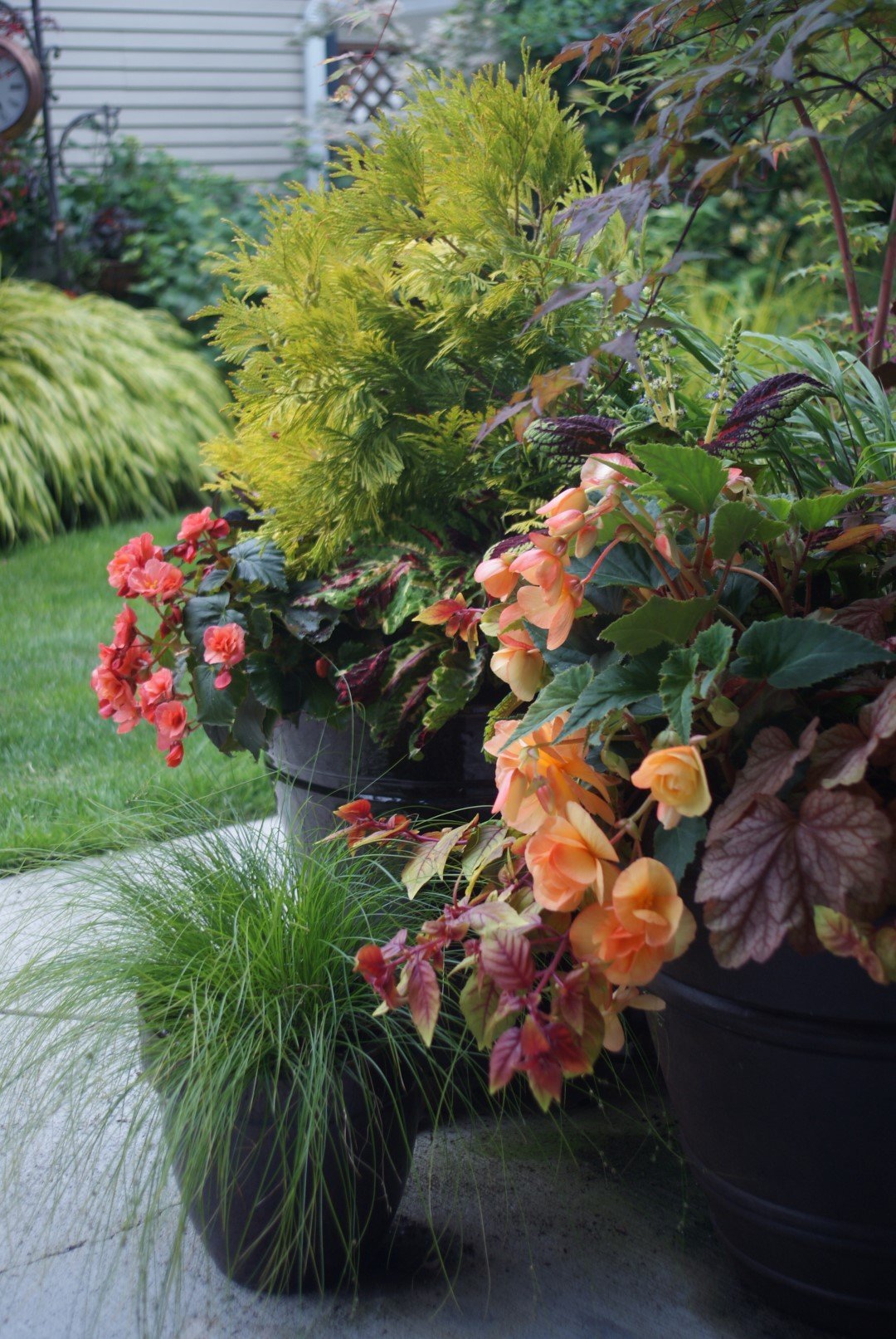 Container Garden Ideas on Pinterest | Container Garden, Container ...